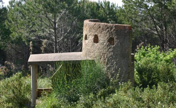 Antibracconaggio | Lipu ODV